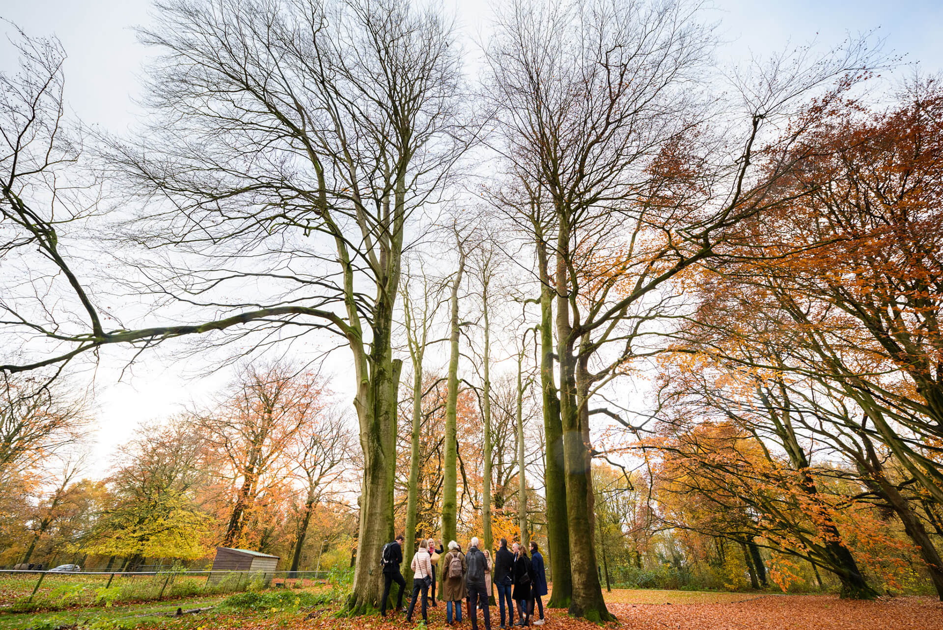 Lobke Meekes - Borderland Residencies